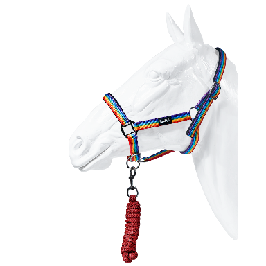 EquiStyle Radiant Rainbow Halter with Lead – Tackshop