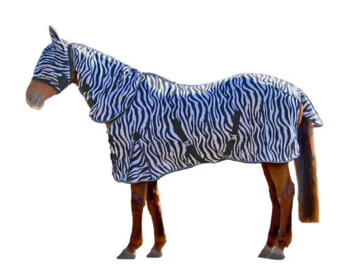 Tackshop.co.za - South Africa's Original Online Equestrian Store